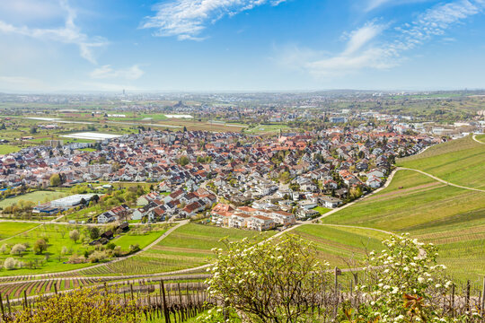 「Beutelsbach」の画像 - 101 件の Stock 写真、ベクターおよびビデオ | Adobe Stock