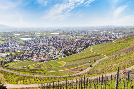 「Beutelsbach」の画像 - 101 件の Stock 写真、ベクターおよびビデオ | Adobe Stock