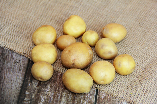 "Round Potatoes" 影像 – 瀏覽 26 個素材庫相片、向量圖和影片 | Adobe Stock
