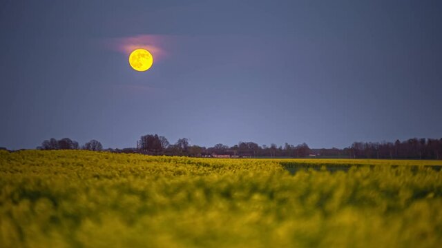 Corn Moon Images – Browse 2,355 Stock Photos, Vectors, and Video ...