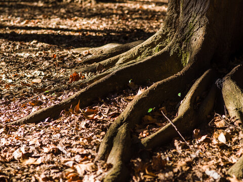 Profane Images – Browse 7,482 Stock Photos, Vectors, and Video | Adobe ...