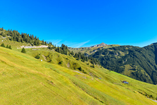 Hinnel Bilder – Durchsuchen 33 Archivfotos, Vektorgrafiken und Videos ...