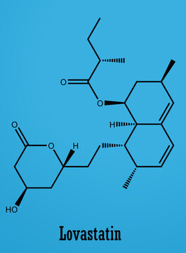 Altocor Images – Browse 40 Stock Photos, Vectors, and Video | Adobe Stock