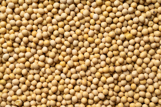 Graupe Bilder – Durchsuchen 86,193 Archivfotos, Vektorgrafiken und ...