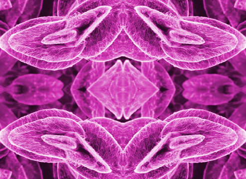 Multiform Images – Browse 366 Stock Photos, Vectors, and Video | Adobe ...