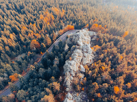 Virive Images – Browse 39 Stock Photos, Vectors, and Video | Adobe Stock