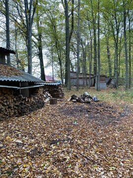 Loggs Bilder – Durchsuchen 125 Archivfotos, Vektorgrafiken und Videos ...