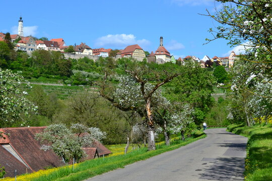 รูปภาพTauber – เลือกดูภาพถ่ายสต็อก เวกเตอร์ และวิดีโอ12,512 | Adobe Stock