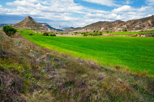 「Mojones」の写真素材 | 14件の無料イラスト画像 | Adobe Stock
