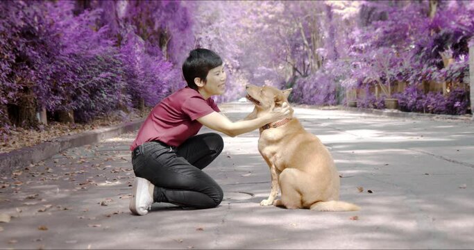 Long-Life Images – Browse 139 Stock Photos, Vectors, and Video | Adobe ...