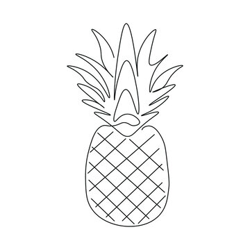 Pineapple Line Drawing Images – Browse 14,870 Stock Photos, Vectors ...