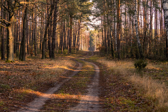 「Dukt」の写真素材 | 252件の無料イラスト画像 | Adobe Stock