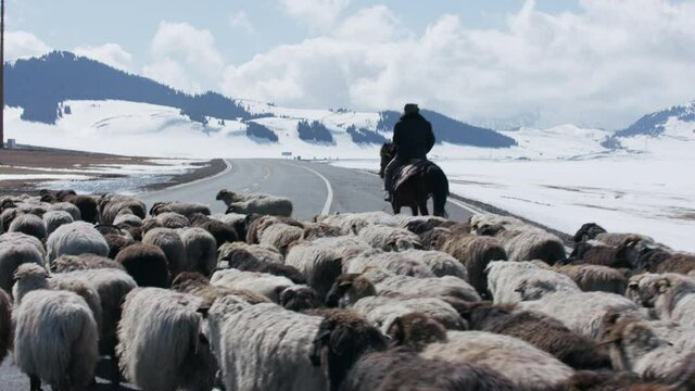 Shepherd Leading Sheep Images – Browse 942 Stock Photos, Vectors, and ...