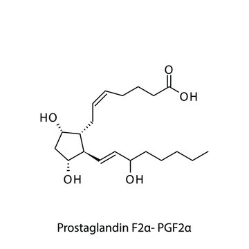 รูปภาพProstaglandin – เลือกดูภาพถ่ายสต็อก เวกเตอร์ และวิดีโอ434 | Adobe ...