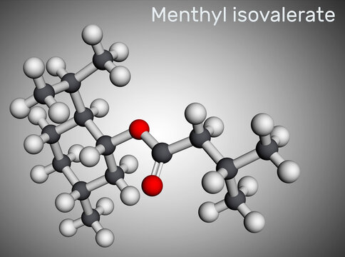 Validolum Imagens – Procure 49 fotos, vetores e vídeos | Adobe Stock