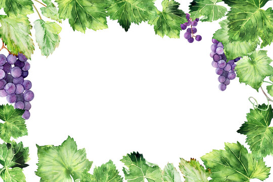 Grape Frame Images – Browse 50,103 Stock Photos, Vectors, and Video ...