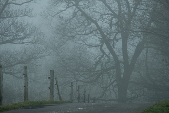 「Nebelig」の画像 - 13,593 件の Stock 写真、ベクターおよびビデオ | Adobe Stock