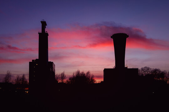 Gelse Bilder – Durchsuchen 577 Archivfotos, Vektorgrafiken und Videos ...