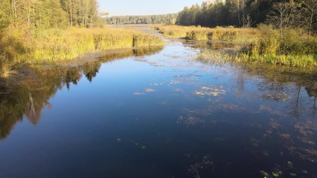 Krasna Imagens – Procure 611 fotos, vetores e vídeos | Adobe Stock