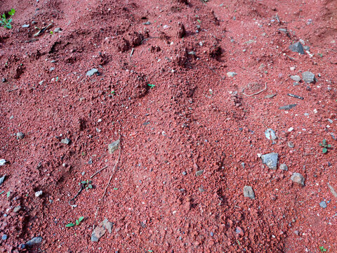 Red Soil