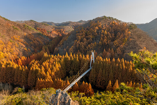 「秋の夕暮れ」の画像 - 1,206,978 件の Stock 写真、ベクターおよびビデオ | Adobe Stock
