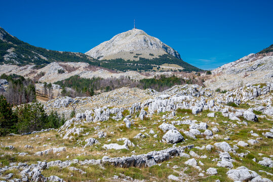 Stirovnik Bilder – Durchsuchen 107 Archivfotos, Vektorgrafiken und ...