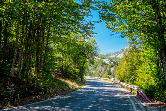 Stirovnik-Bilder: Stock-Fotos & -Videos. | Adobe Stock