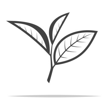 Tea Leaf Icon Png