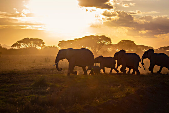 African Sunrise Wallpaper