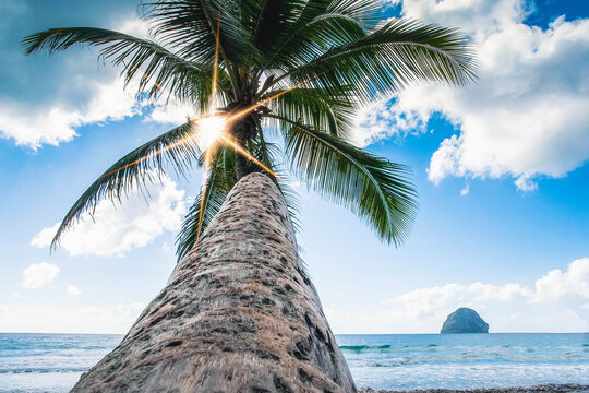 Eizahn-Bilder: Stock-Fotos & -Videos. | Adobe Stock