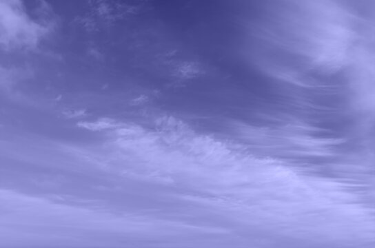 Periwinkle Color Images – Browse 14,270 Stock Photos, Vectors, and ...