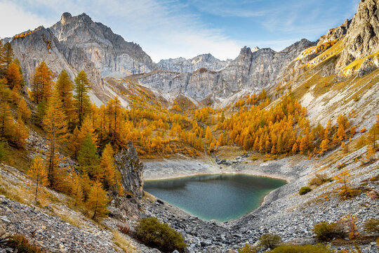 「Larici」の画像 - 3,345 件の Stock 写真、ベクターおよびビデオ | Adobe Stock