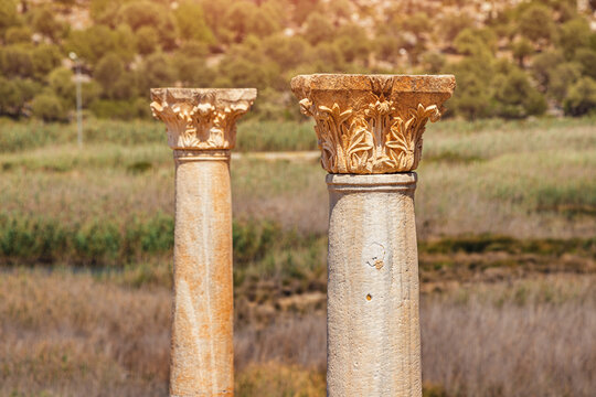 Chapiter Images – Browse 52,135 Stock Photos, Vectors, and Video ...