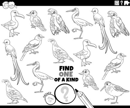 Xenops Coloring Page