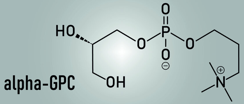 「Alpha-Gpc」の写真素材 | 21件の無料イラスト画像 | Adobe Stock