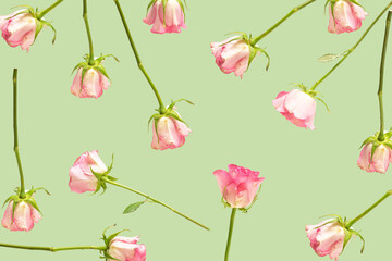 15+ Free Roses Falling Pictures - PikWizard