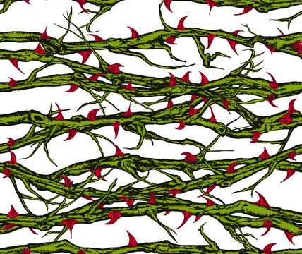 รูปภาพBriars – เลือกดูภาพถ่ายสต็อก เวกเตอร์ และวิดีโอ31,678 | Adobe Stock