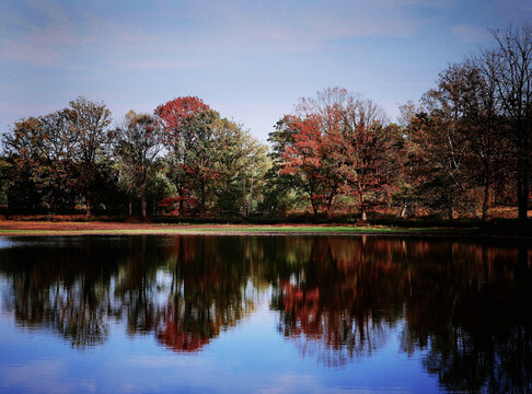 Surrounding Images – Browse 530,680 Stock Photos, Vectors, and Video ...