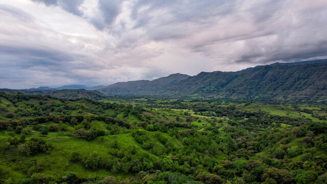 Patia Images – Browse 35 Stock Photos, Vectors, and Video | Adobe Stock