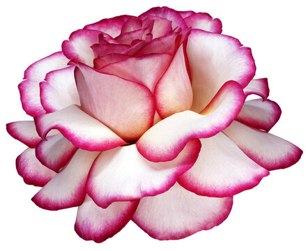 nadezhda F photos, images, assets | Adobe Stock