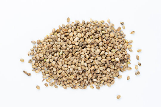 Herbage Images – Browse 40,415 Stock Photos, Vectors, and Video | Adobe ...