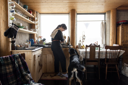 Fluchttier Bilder – Durchsuchen 23,444 Archivfotos, Vektorgrafiken und ...