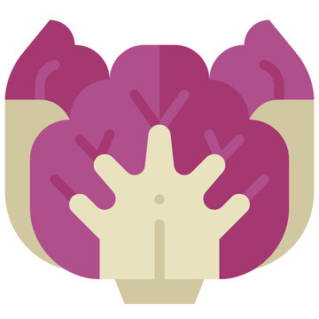 Chicory Icon Bilder – Durchsuchen 519 Archivfotos, Vektorgrafiken und ...