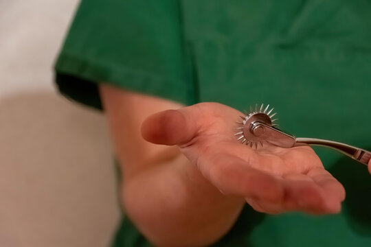 Wartenbergrad Bilder – Durchsuchen 38 Archivfotos, Vektorgrafiken und Videos | Adobe Stock