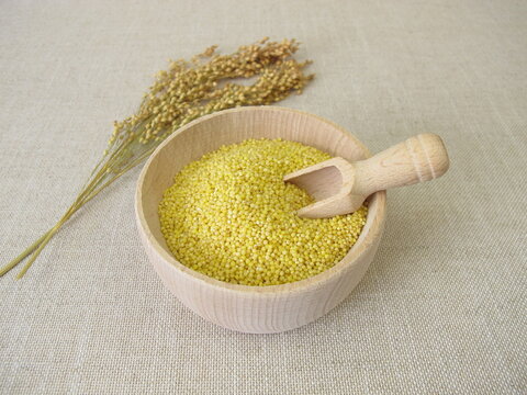 Proso Images – Parcourir 2,765 le catalogue de photos, vecteurs et ...