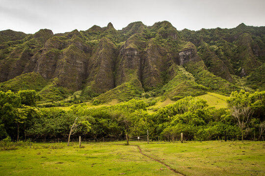 Hawaiian Ranch Bilder – Durchsuchen 526 Archivfotos, Vektorgrafiken und ...