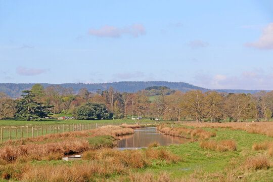 Imágenes de Kenn: descubre bancos de fotos, ilustraciones, vectores y ...