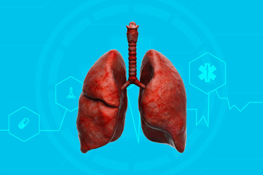 Windpipe Images – Browse 1,819 Stock Photos, Vectors, and Video | Adobe ...