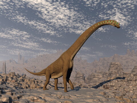 Giraffatitan Images – Browse 60 Stock Photos, Vectors, and Video ...