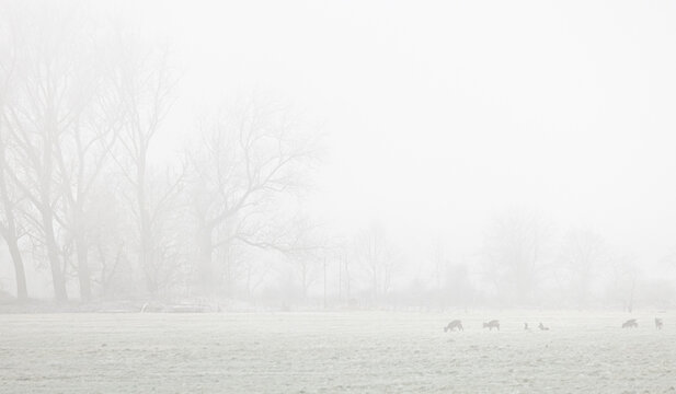 DIE 2,653,045 BESTEN BILDER, STOCK-FOTOS UND -VEKTORGRAFIKEN ZU „Frozen ...